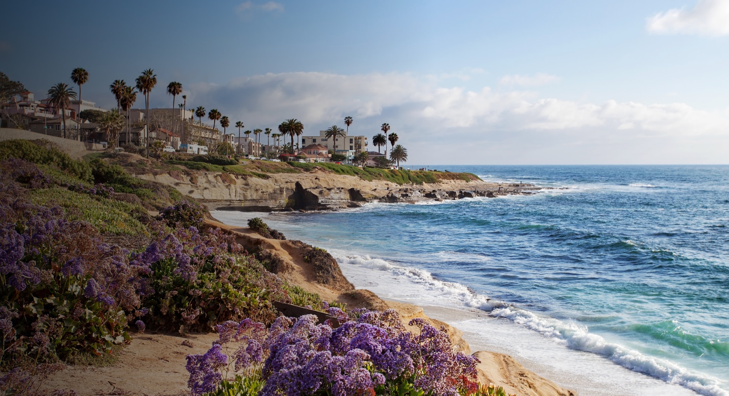 HGV Rewards | Carlsbad, CA