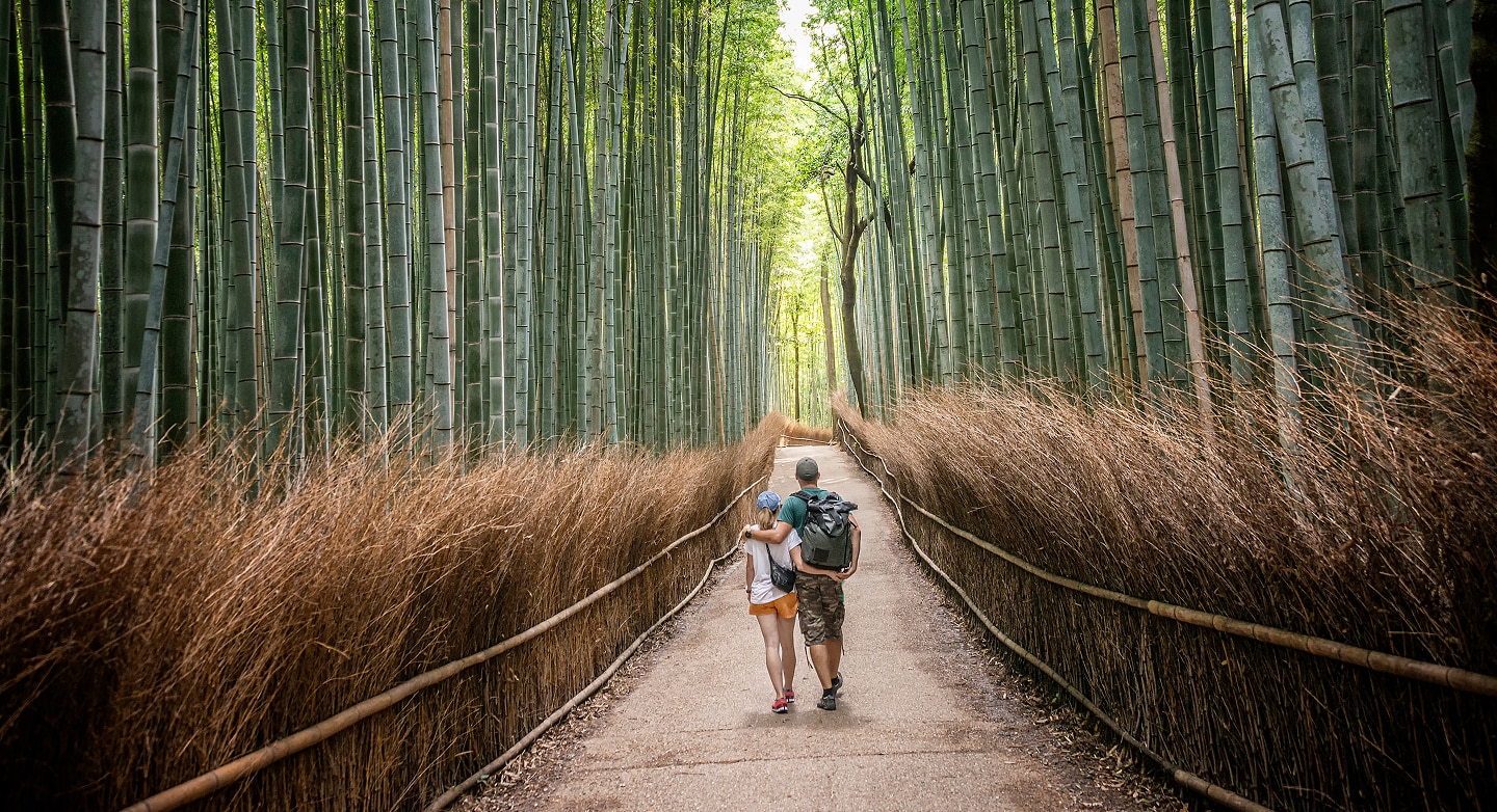 Tradimo Kyoto Gojo, a Hilton Grand Vacations Club | Hilton Grand Vacations